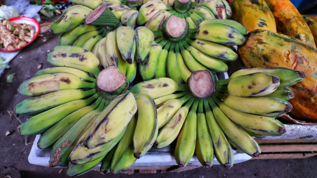 5 Jenis Pisang Paling Populer