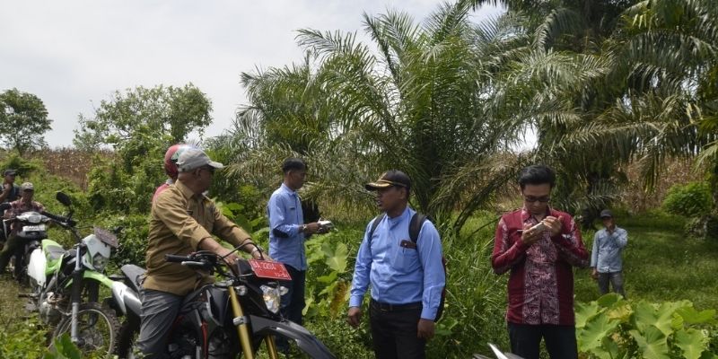 HGU Berakhir 2018, PT Inang Sari masih Kuasai 400 Hektare Lahan di Agam ...