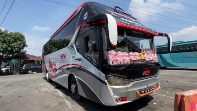 Saingan Berat Bus Legendaris Nih! Viral, MPM Bakal Pakai Bus SR3 Panorama