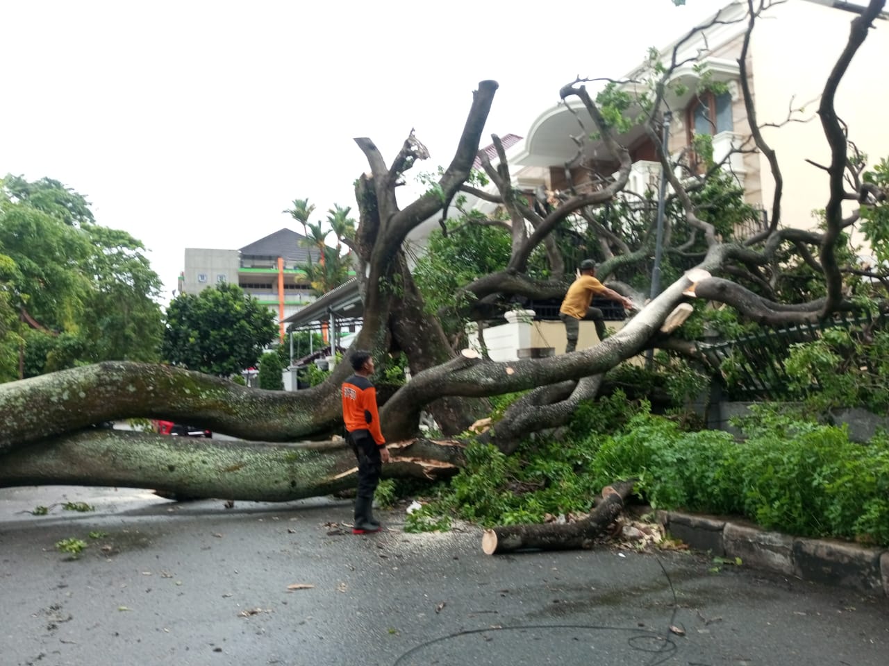 Angin Kencang Terjang Kota Padang, Puluhan Pohon Tumbang dan Atap Rumah ... Angin Kencang Terjang Kota Padang, Puluhan Pohon Tumbang dan Atap Rumah ...