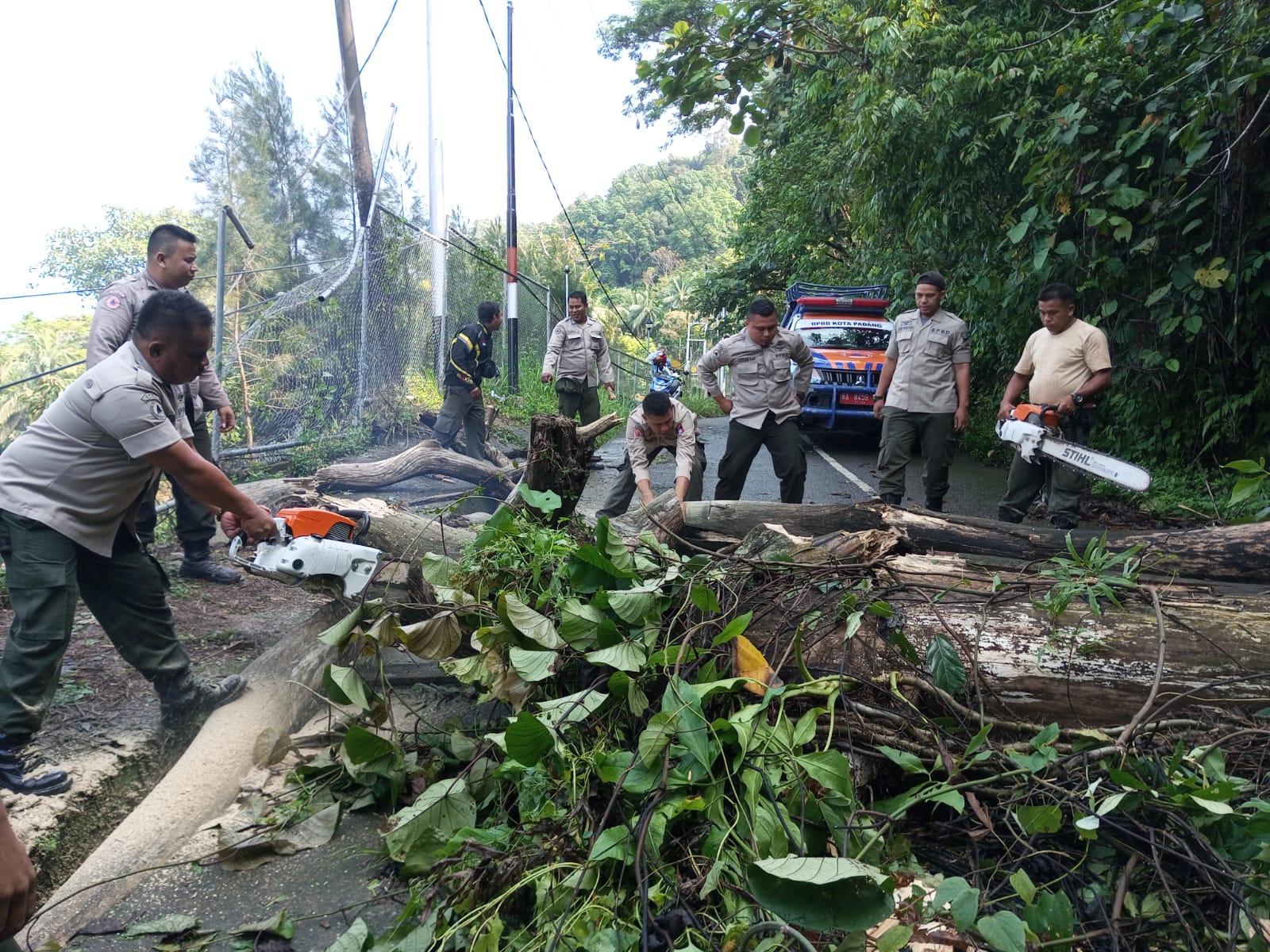 Sejumlah Pohon Tumbang Ganggu Akses Ruas Jalan Masyarakat Kota Padang